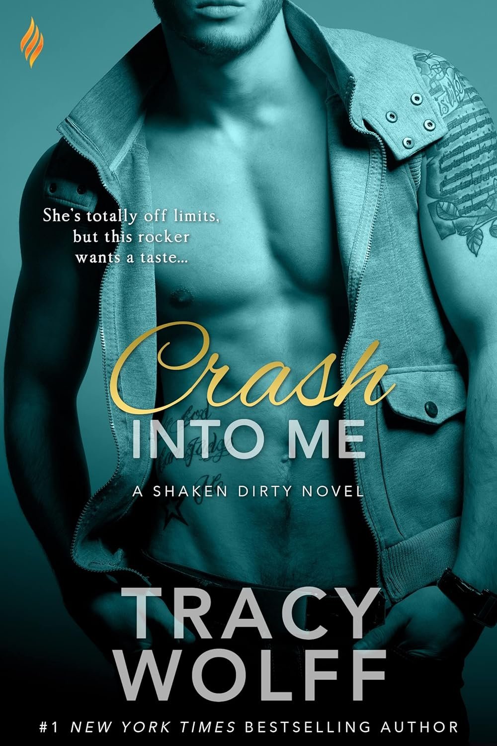 Jet-Set Love: Unforgettable Pilot Romance Books | Paperback Magic